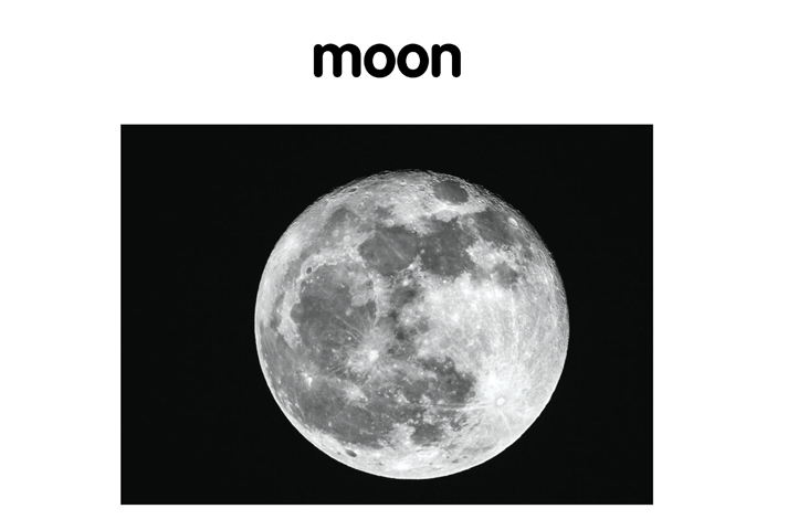 Crickets 1 Flash Cards Unit 8