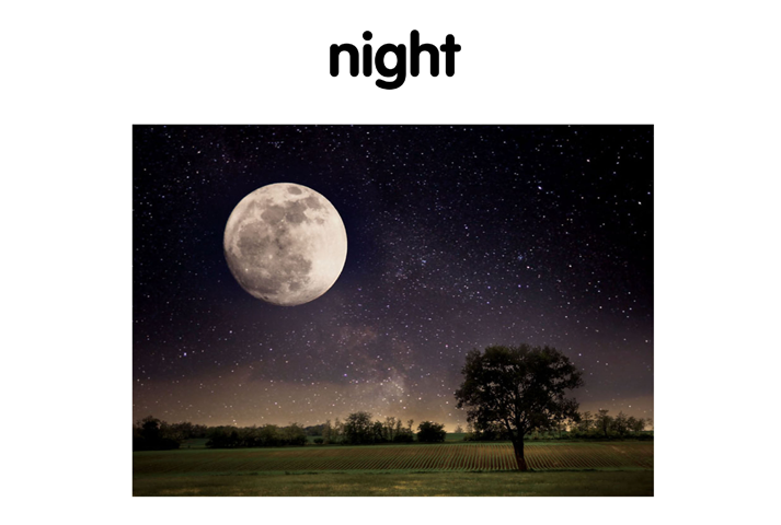 Crickets 1 Flash Cards Unit 8