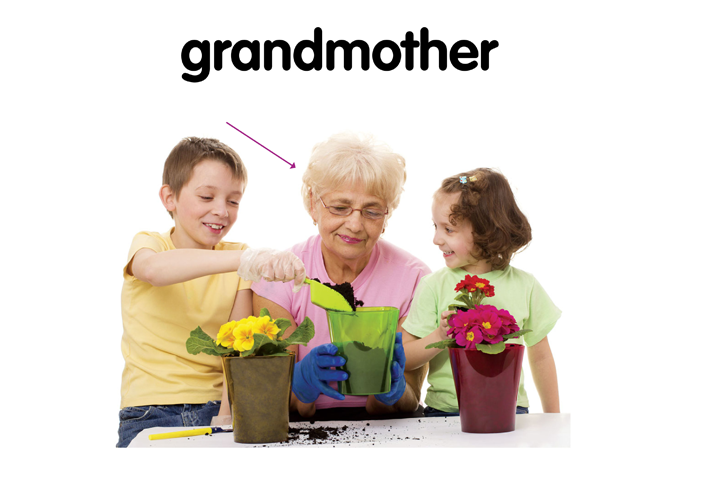 Crickets 3 Flash Cards Unit 4