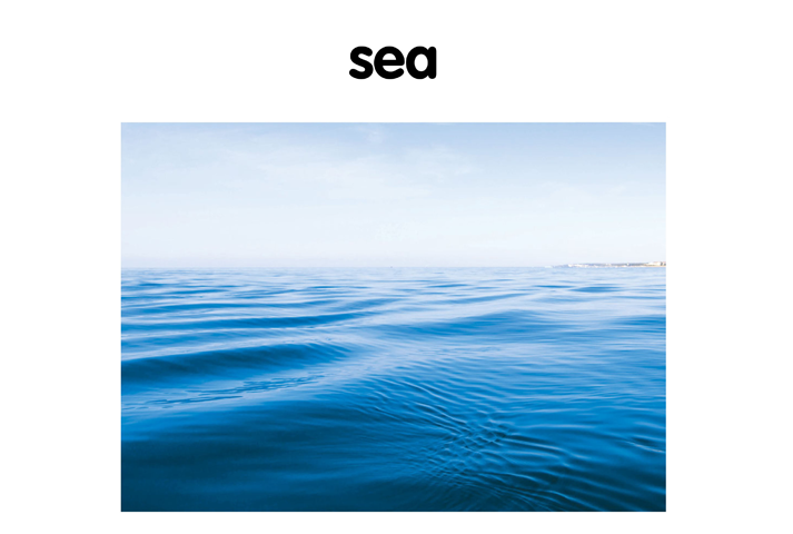 Crickets 3 Flash Cards Unit 8